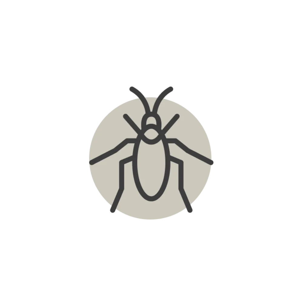 Services | Mission Pest Control