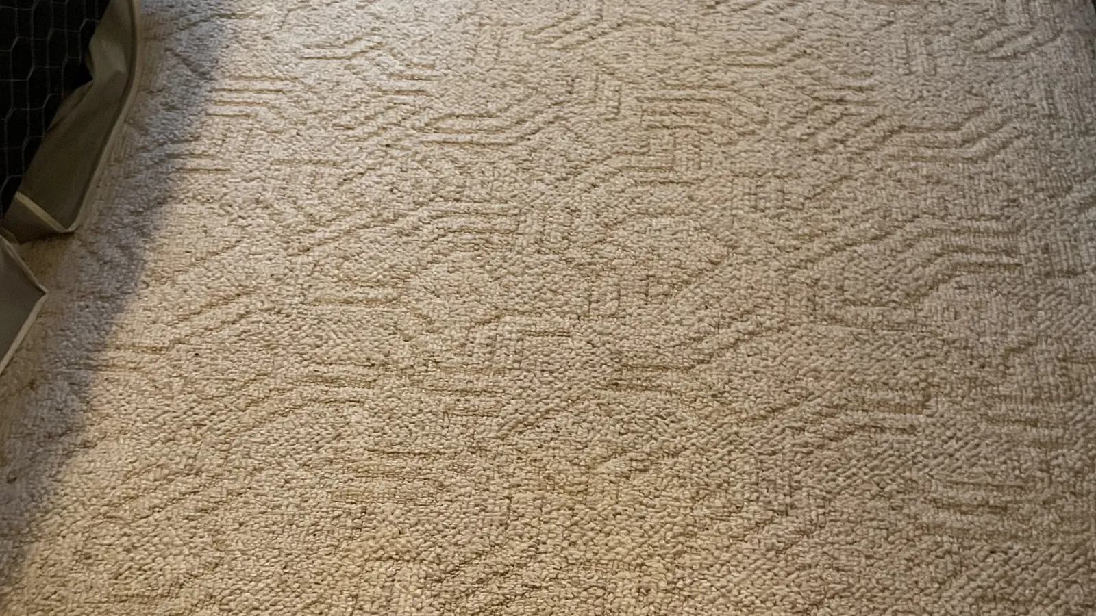 Carpet Cleaning San Diego - Page 4 | Zerorez San Diego