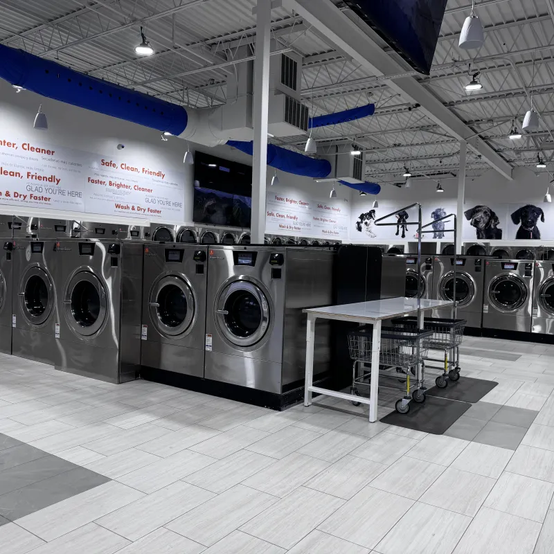 Oasis Laundry | Statewide
