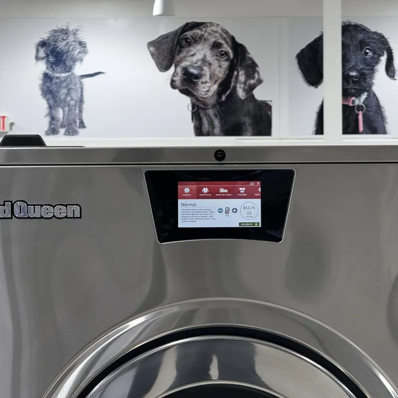 Oasis Laundry | Statewide