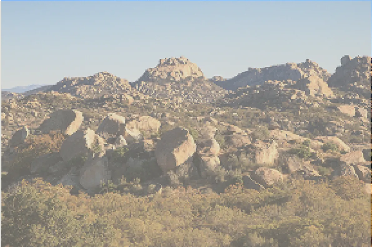 Locations | Mission Pest Control