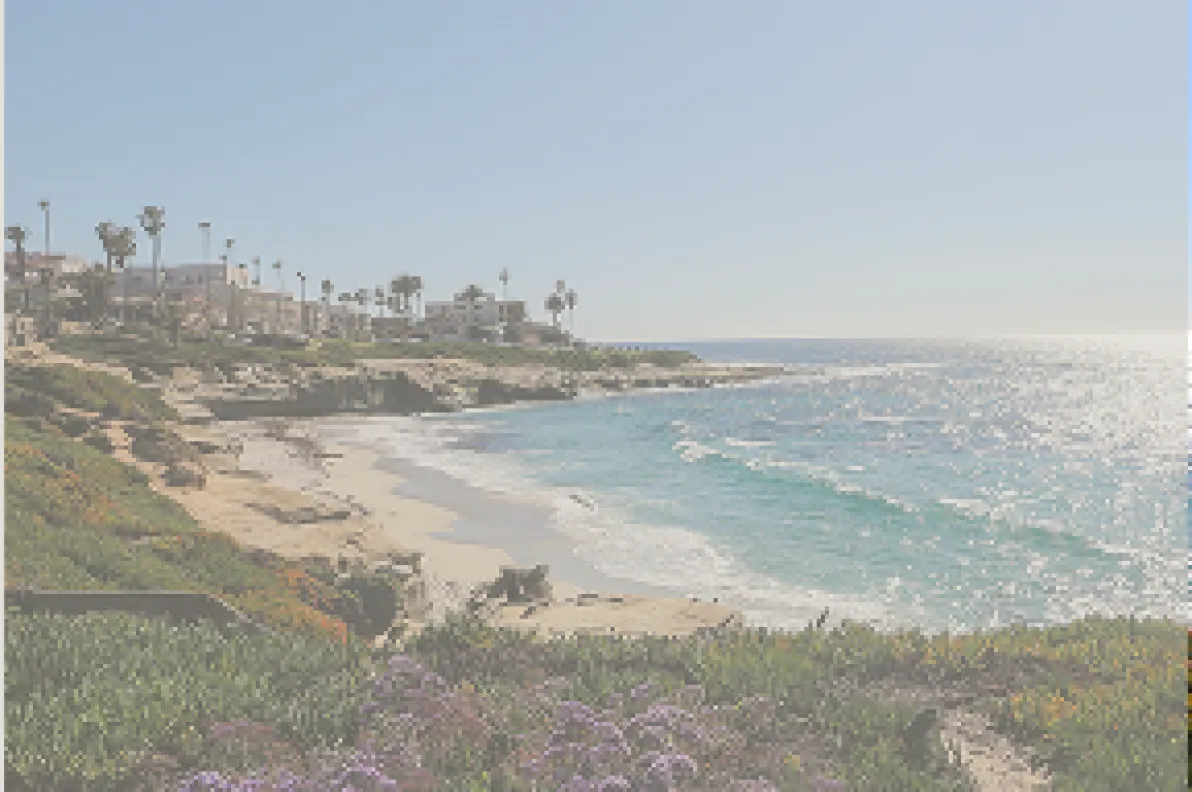 Locations | Mission Pest Control