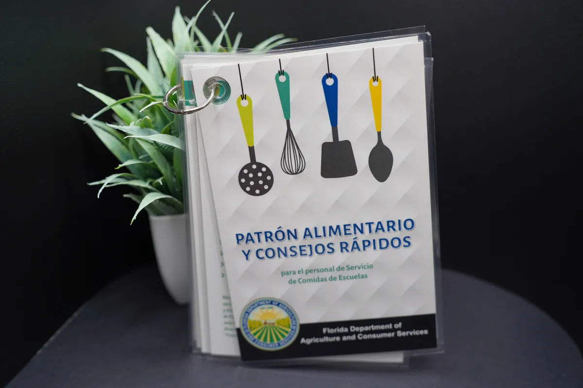 Laminated Printing Services | Highest Quality Guaranteed | Formax Printing