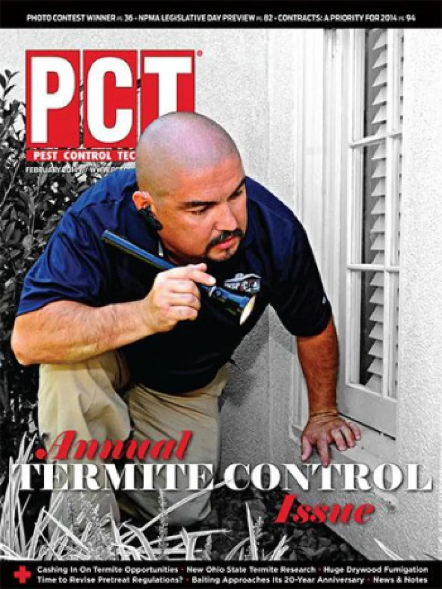 Termite Prevention | WDO Reports | Kingfish Pest Control