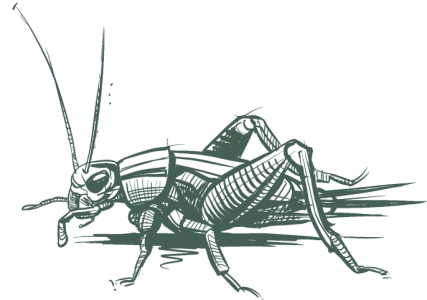 Pest Control Company | Greenix Pest Control