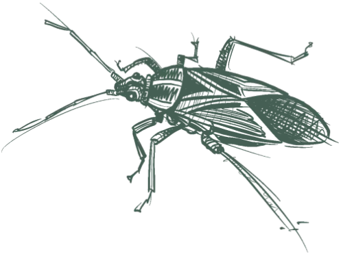 Pest Control Fishers | Greenix Pest Control