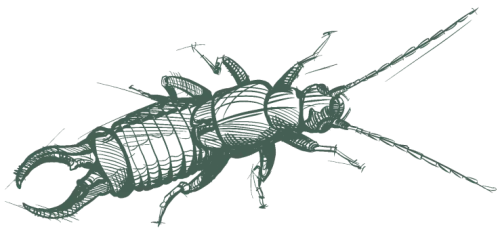 Pest Control Cincinnati & Exterminator | Greenix Pest Control