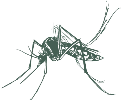 Pest Control Fishers | Greenix Pest Control