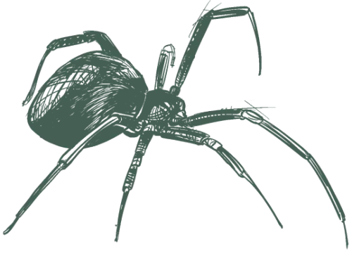 Pest Control Madison | Greenix Pest Control