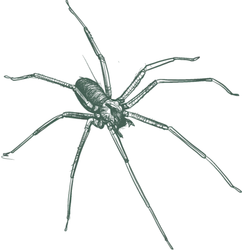 Pest Control Fishers | Greenix Pest Control