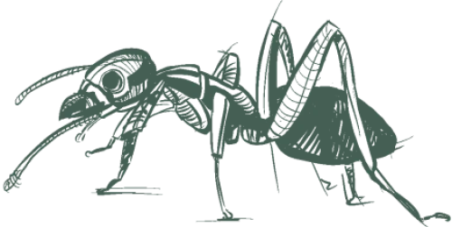 Pest Control Orem | Greenix Pest Control