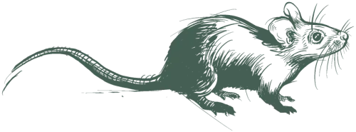 Pest Control Fishers | Greenix Pest Control