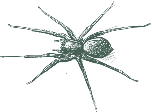 Pest Control Cincinnati & Exterminator | Greenix Pest Control