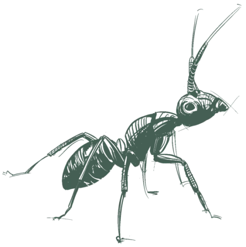 Pest Control Cincinnati & Exterminator | Greenix Pest Control