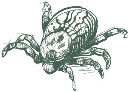 Pest Control Fishers | Greenix Pest Control