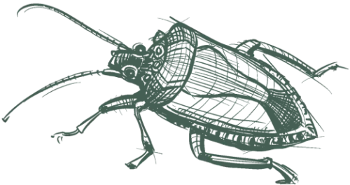 Pest Control Fishers | Greenix Pest Control