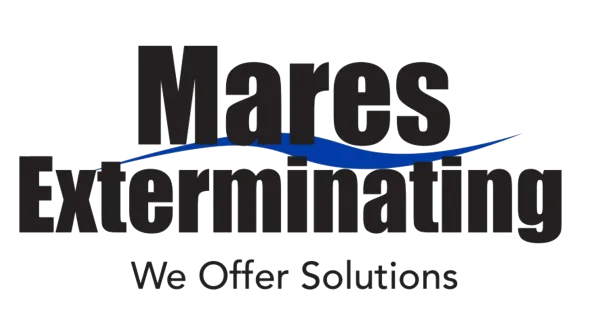 Mares Exterminating | Pest, Termite, & Mosquito Control