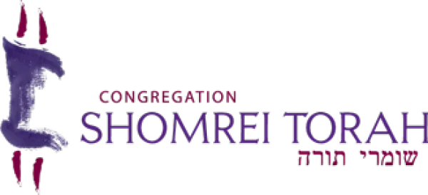 Commercial Solar Electric Systems - SolarCraft | SolarCraft