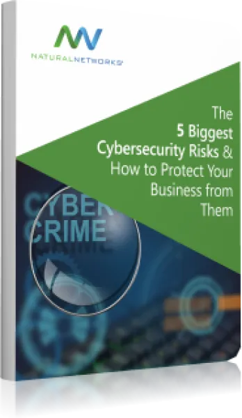 #1 IT Support and Cybersecurity Company in San Diego | Natural Networks