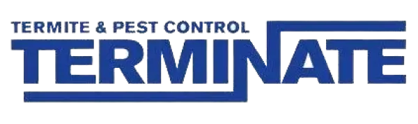 How to Effectively Get Rid of Mosquitoes in Your House | Terminate