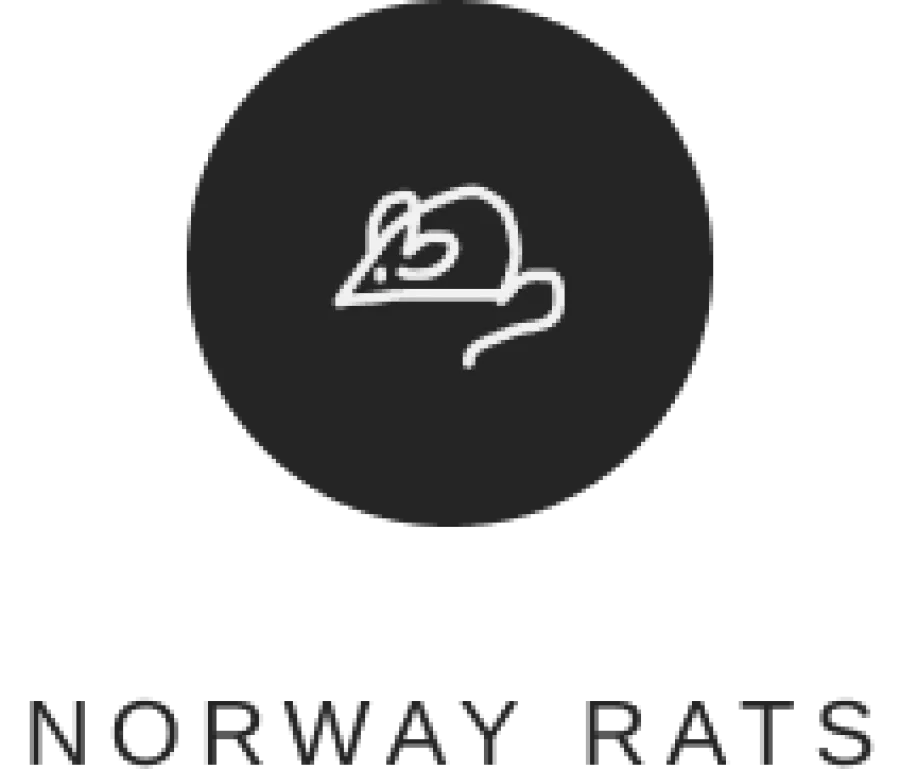 Expert Rodent Control Seattle | Rodent Guard