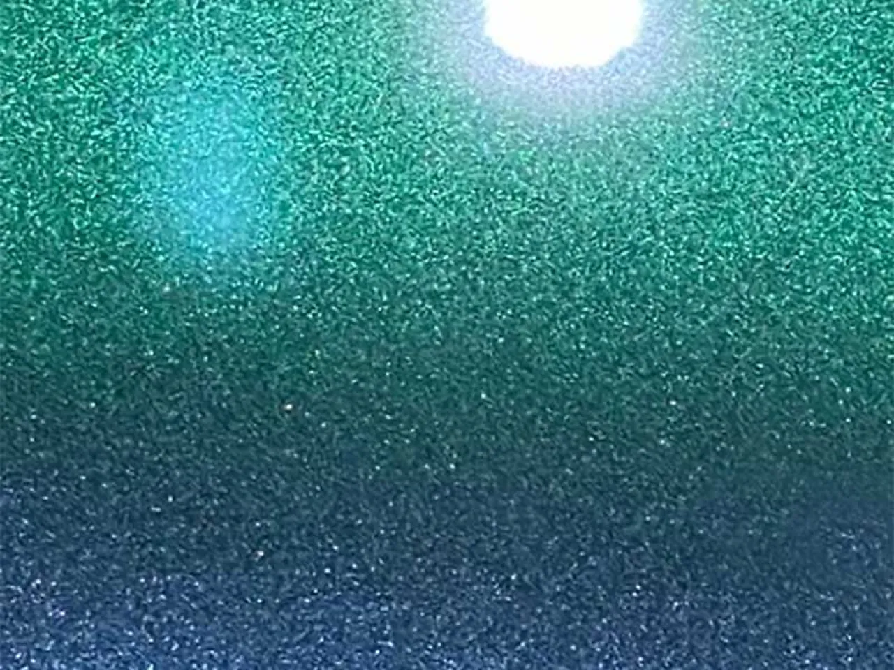 Color PPF Paint Protection Film | Premium Installer Virginia Beach ...