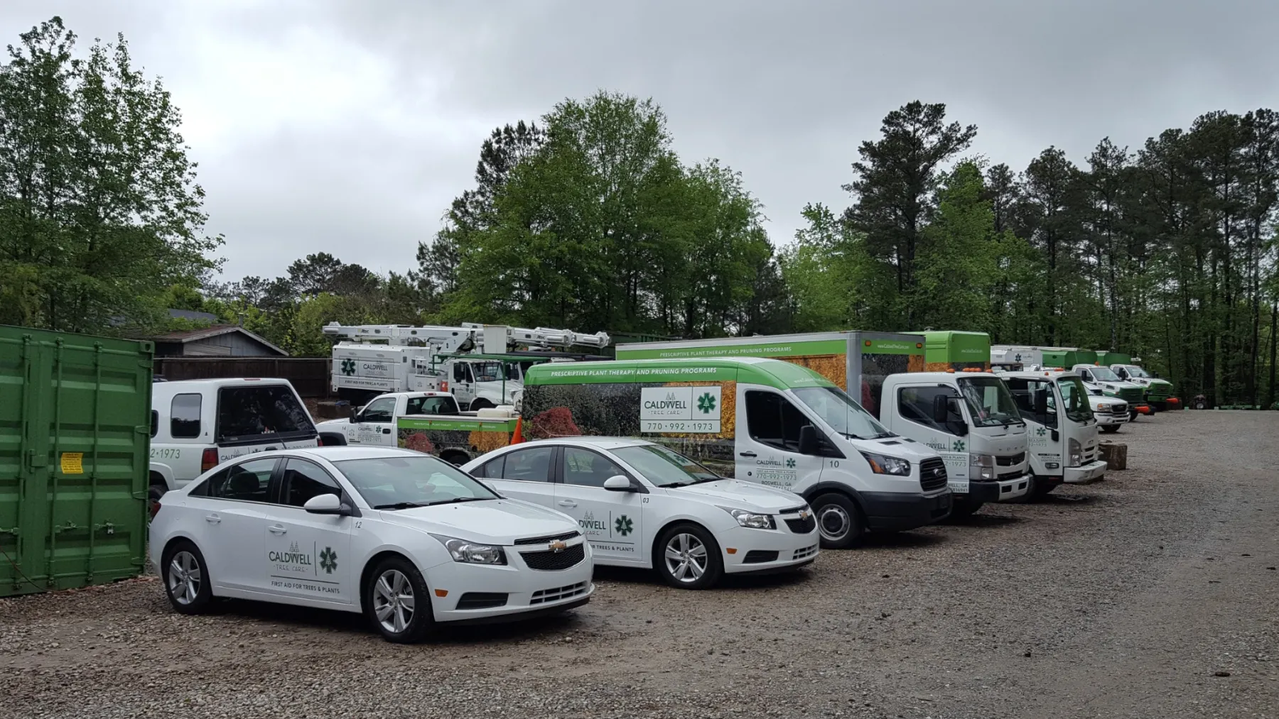 ISA Certified Arborists in Atlanta | Tree Care Services