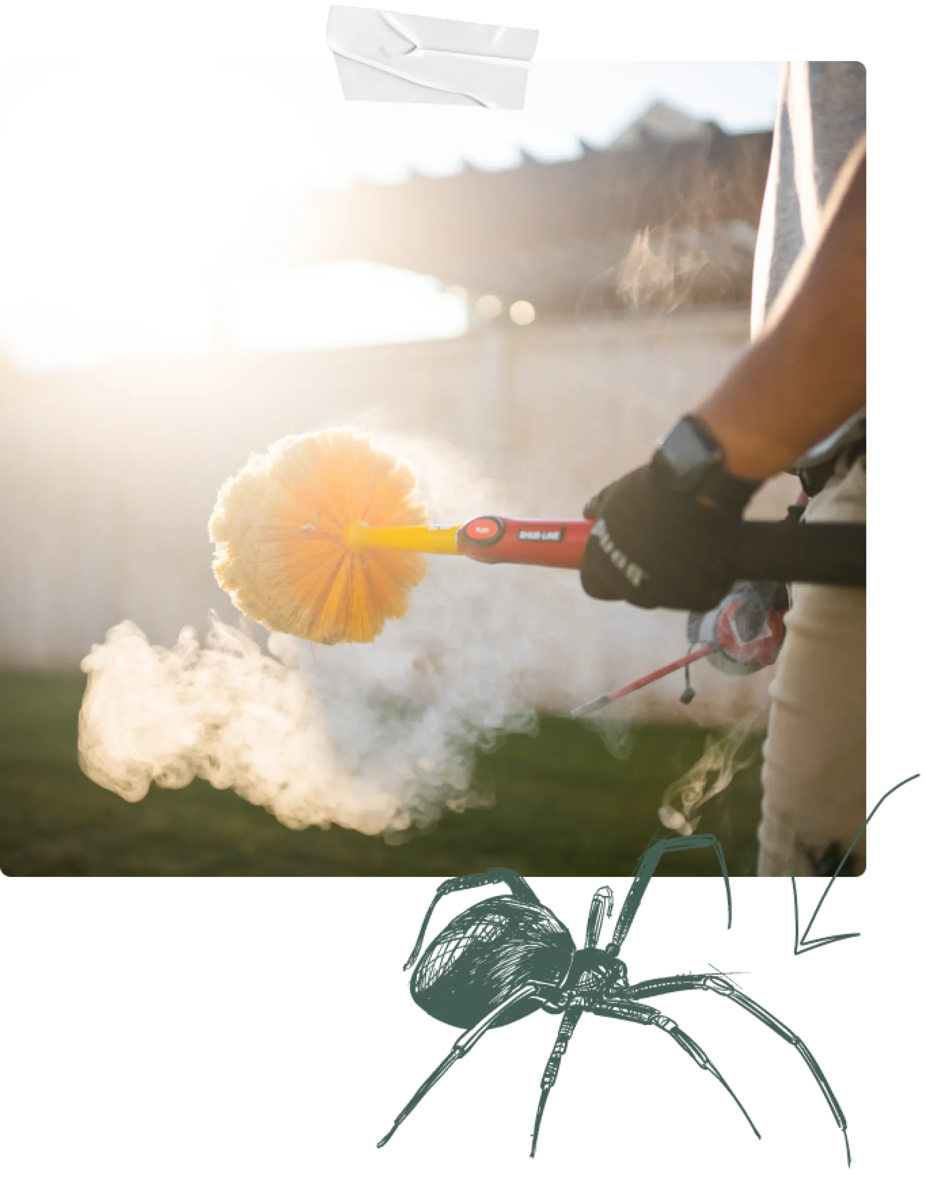 Our Pest Service Guarantee | Greenix Pest Control