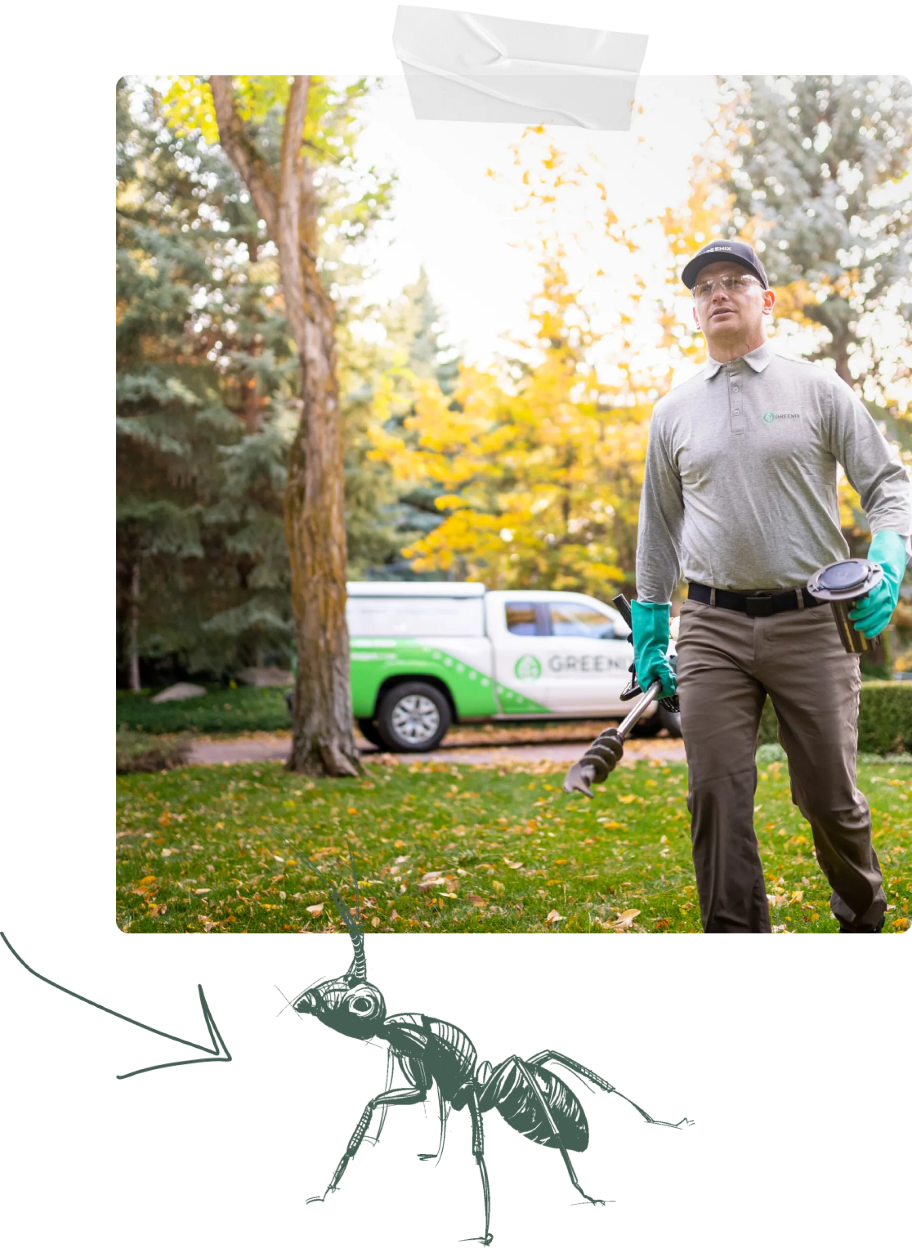 Pest Control Services & Treatments | Greenix Pest Control