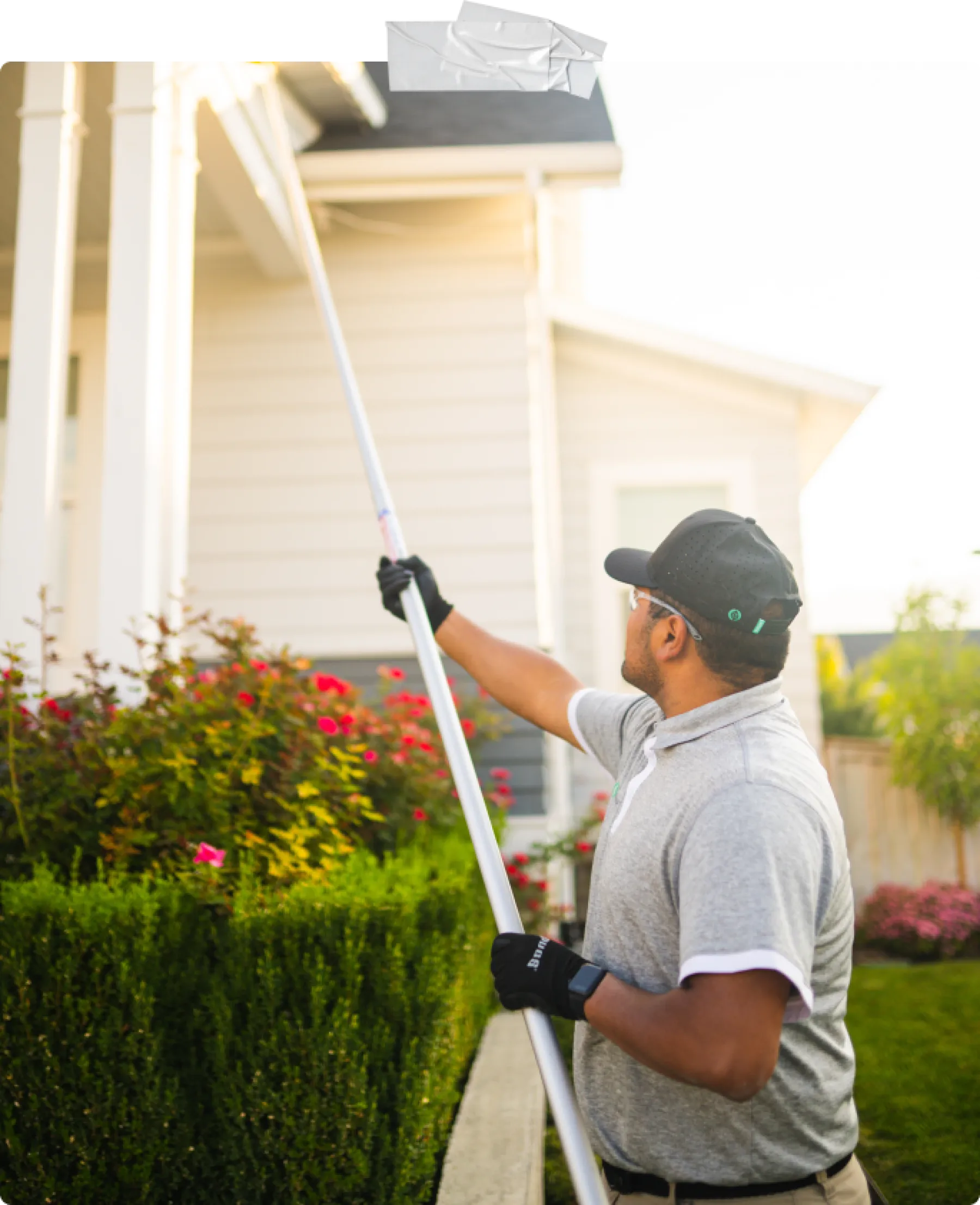 Pest Control Lexington | Greenix Pest Control