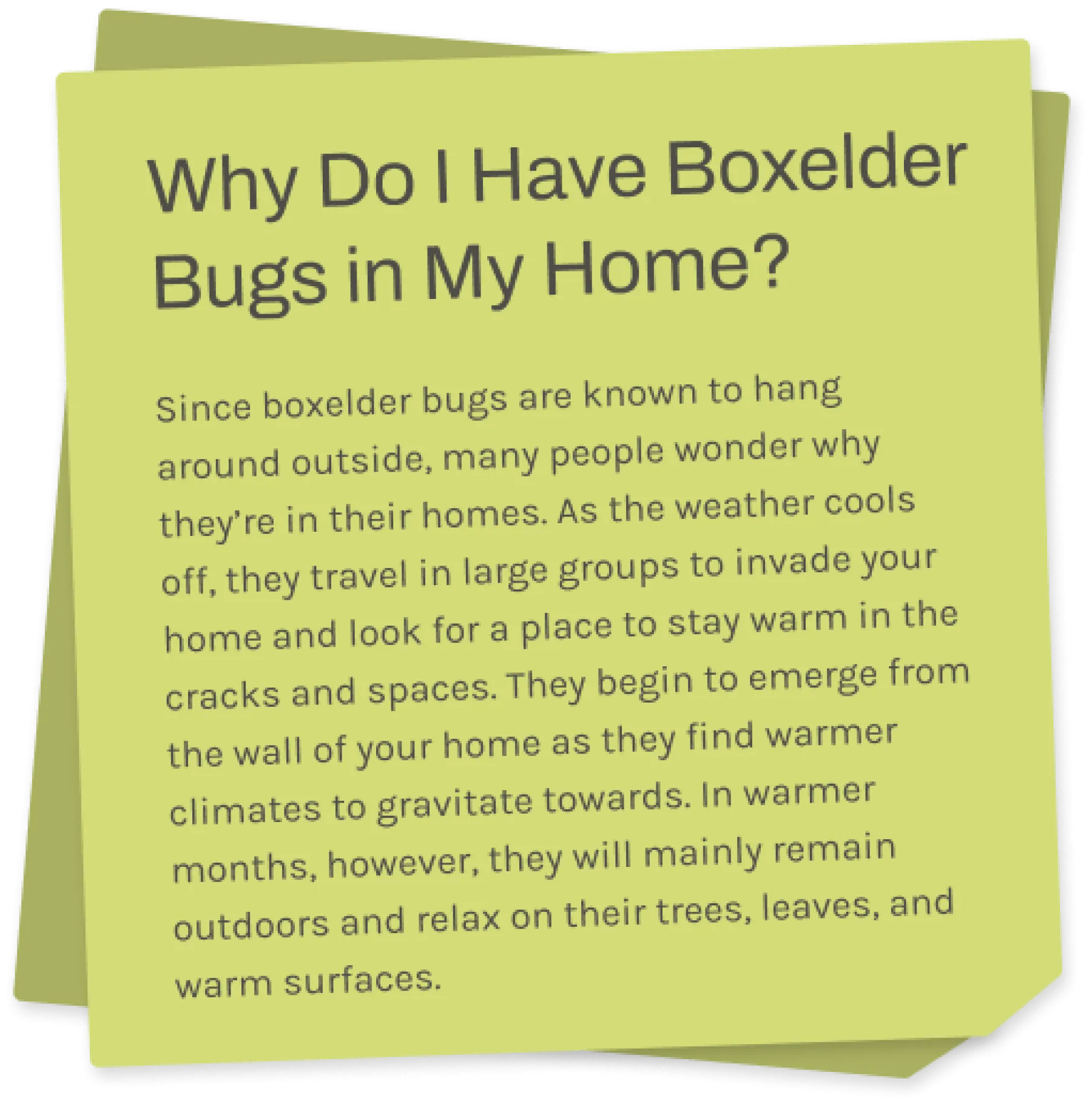 Boxelder Bugs | Pest Library | Greenix Pest Control