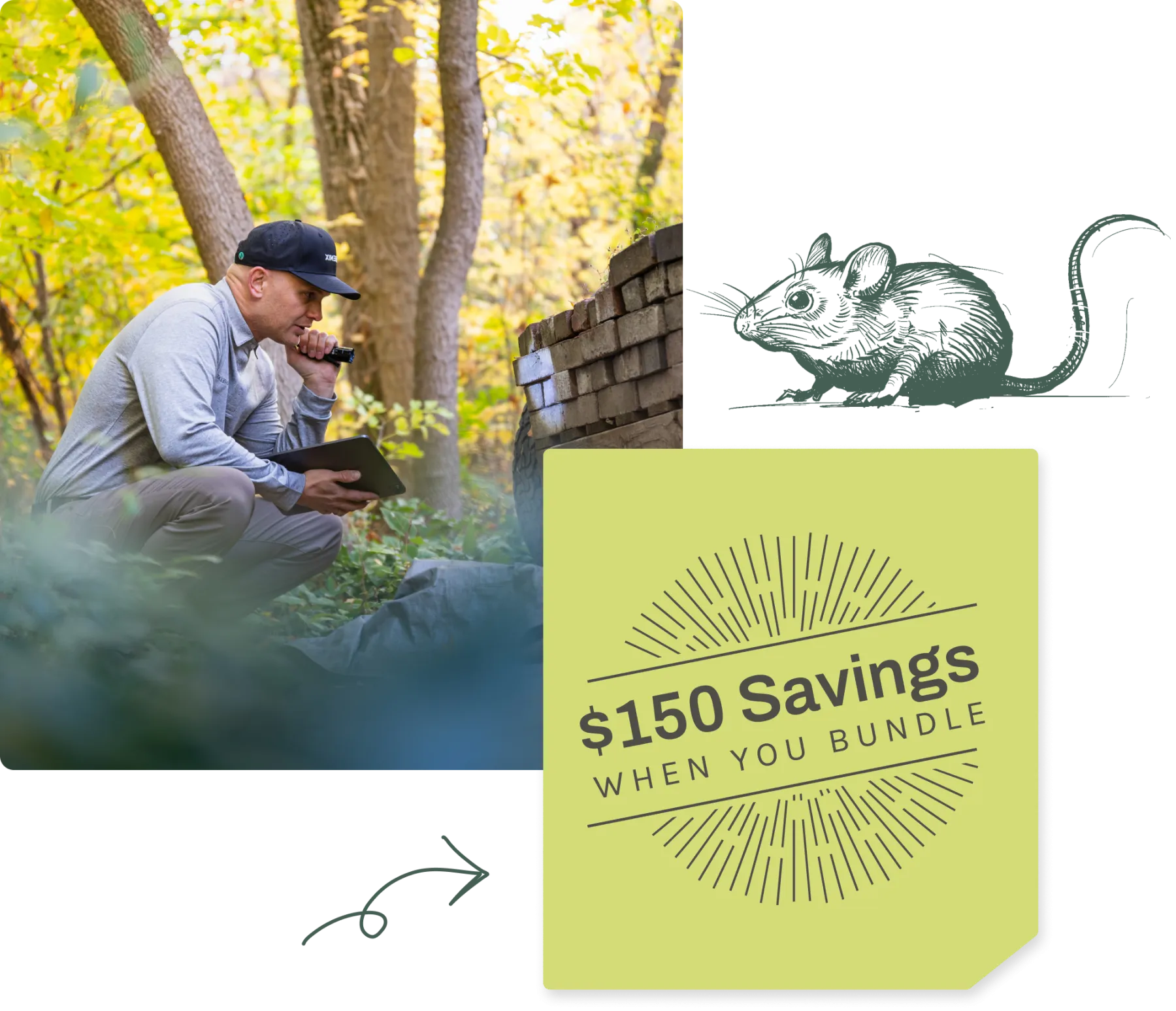 Rodent Removal & Control | Greenix Pest Control