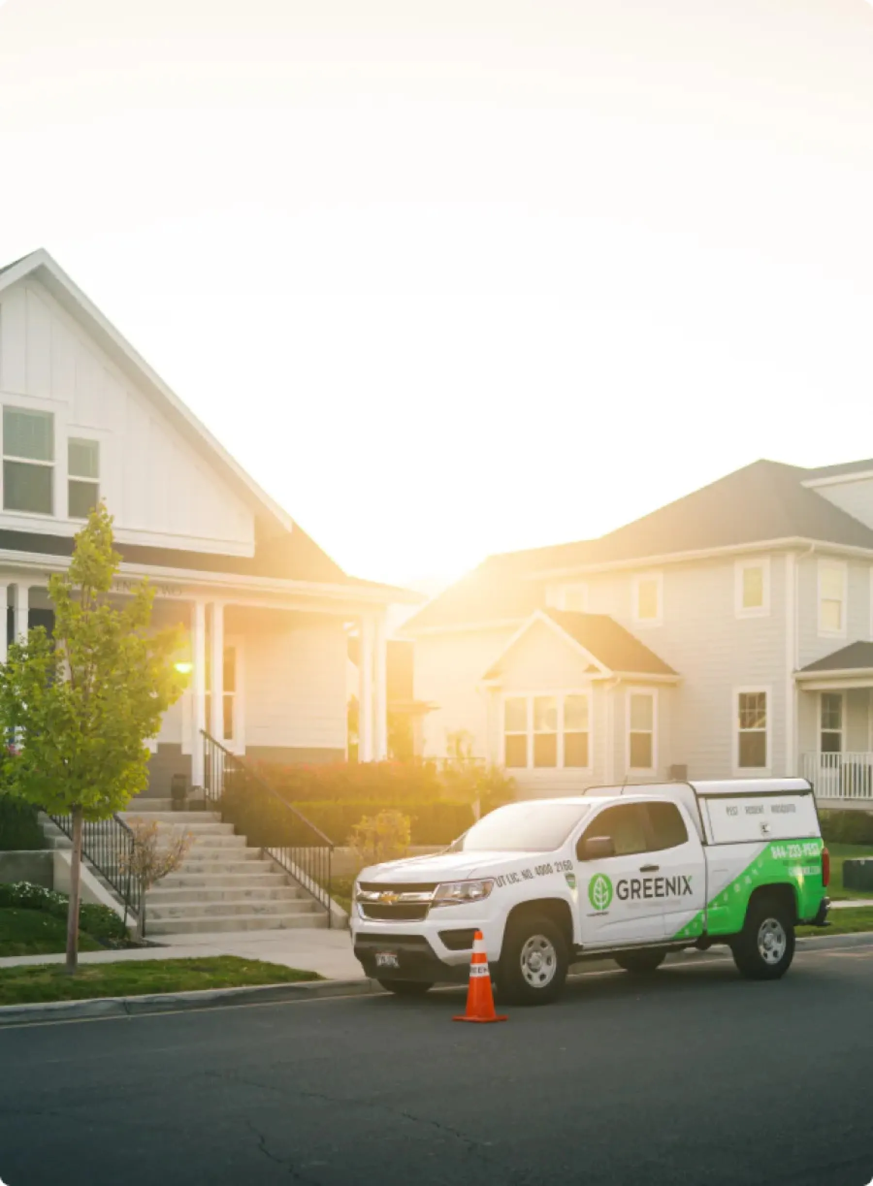 Pest Control Madison | Greenix Pest Control