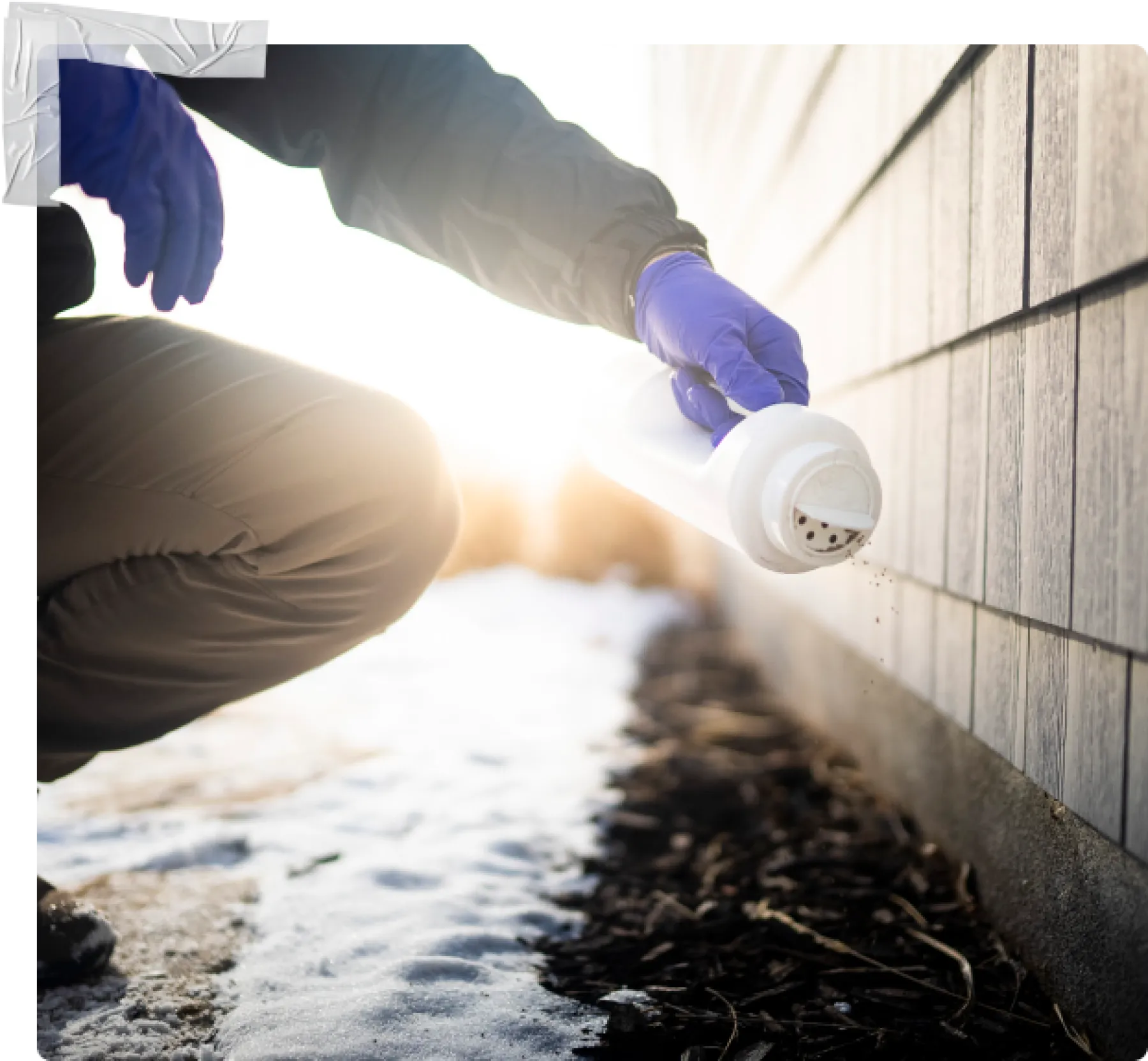 Pest Control Beverly | Greenix Pest Control