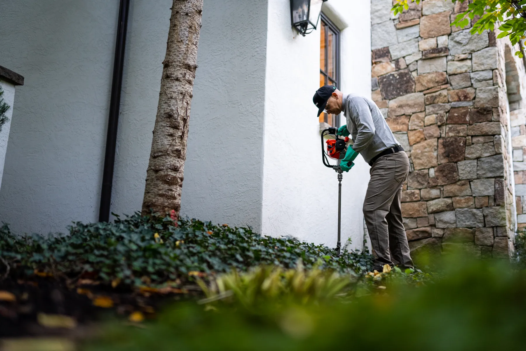 Pest Control Kansas City, MO | Greenix Pest Control