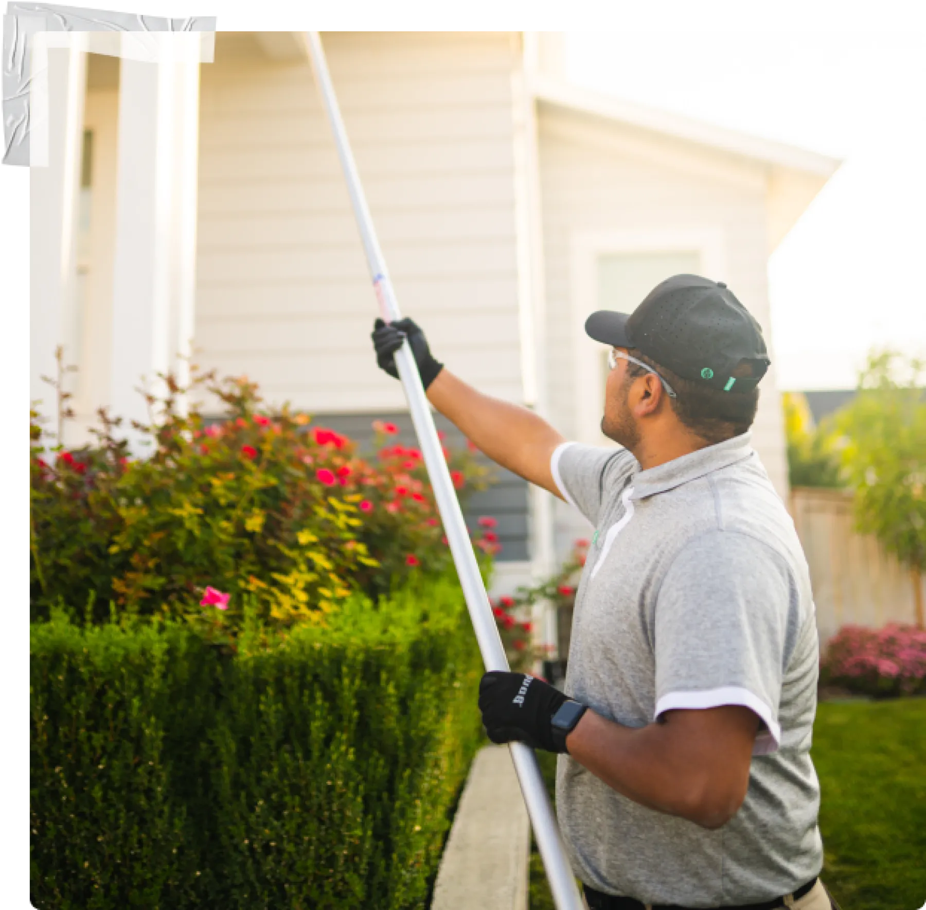 Pest Control Toledo | Greenix Pest Control