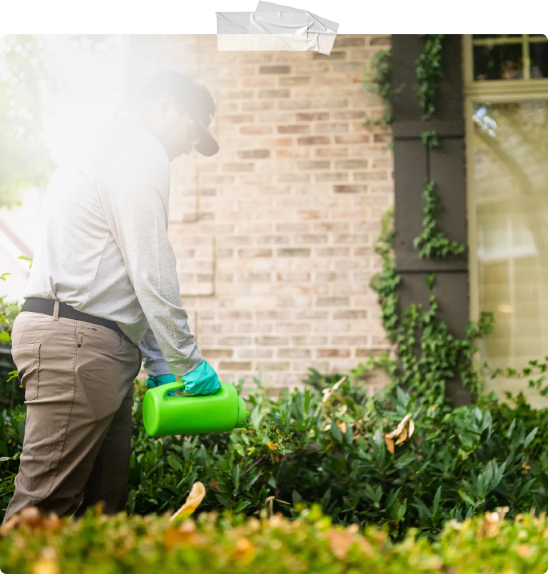 Pest Control Minneapolis | Greenix Pest Control