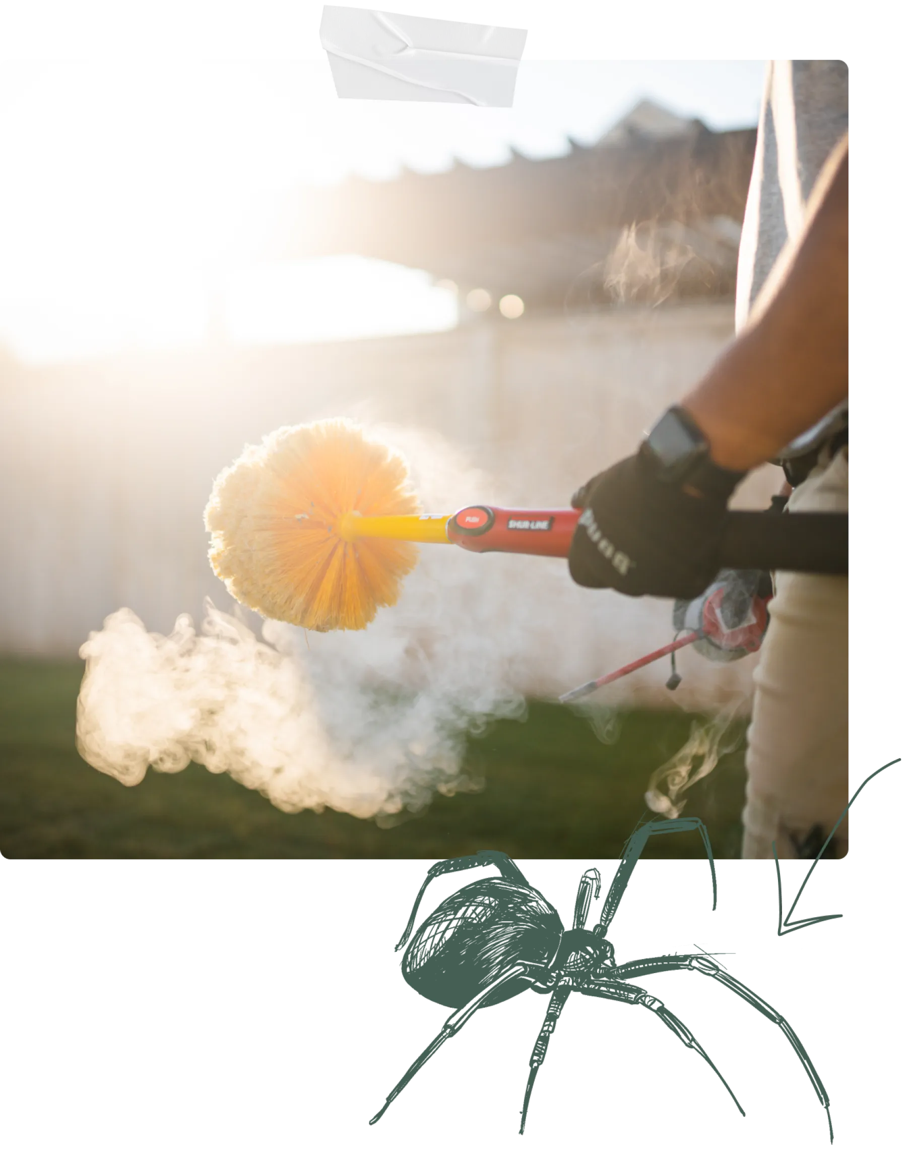 Pest Control Services & Treatments | Greenix Pest Control