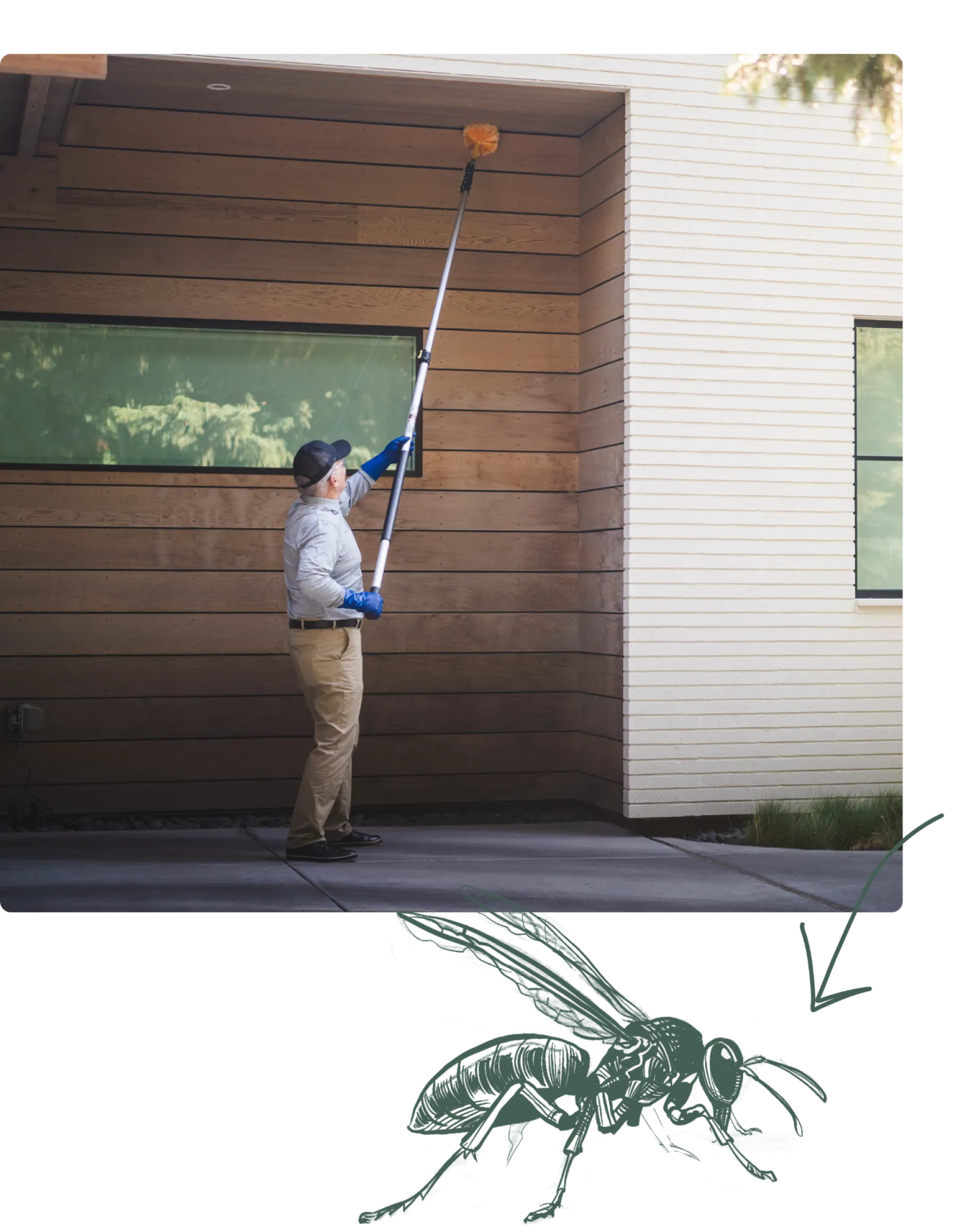 Pest Control Services & Treatments | Greenix Pest Control