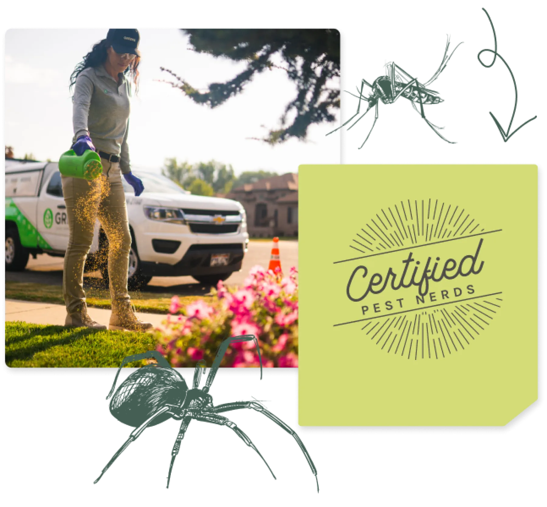 Pest Control Company | Greenix Pest Control