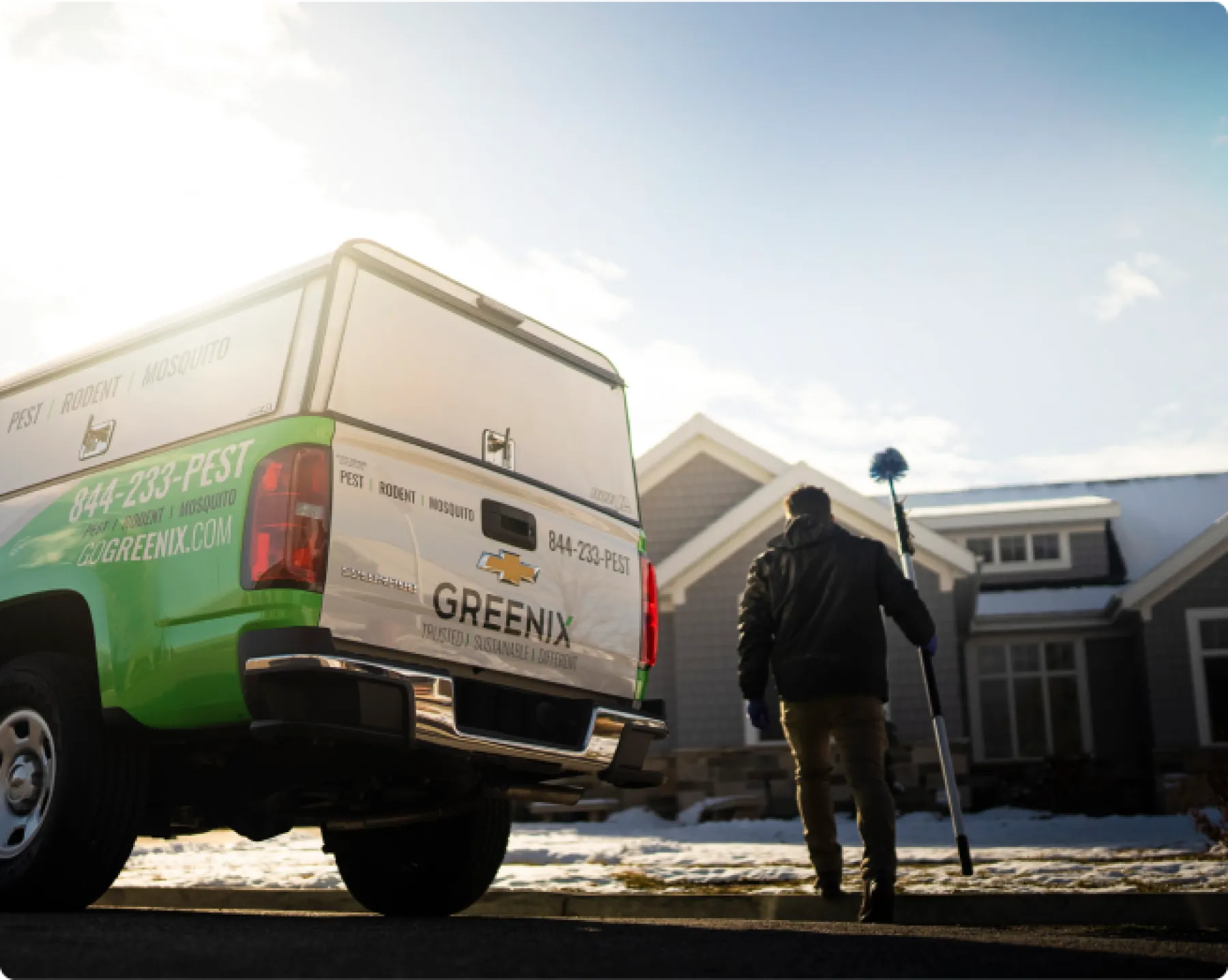 Rat Control | Greenix Pest Control