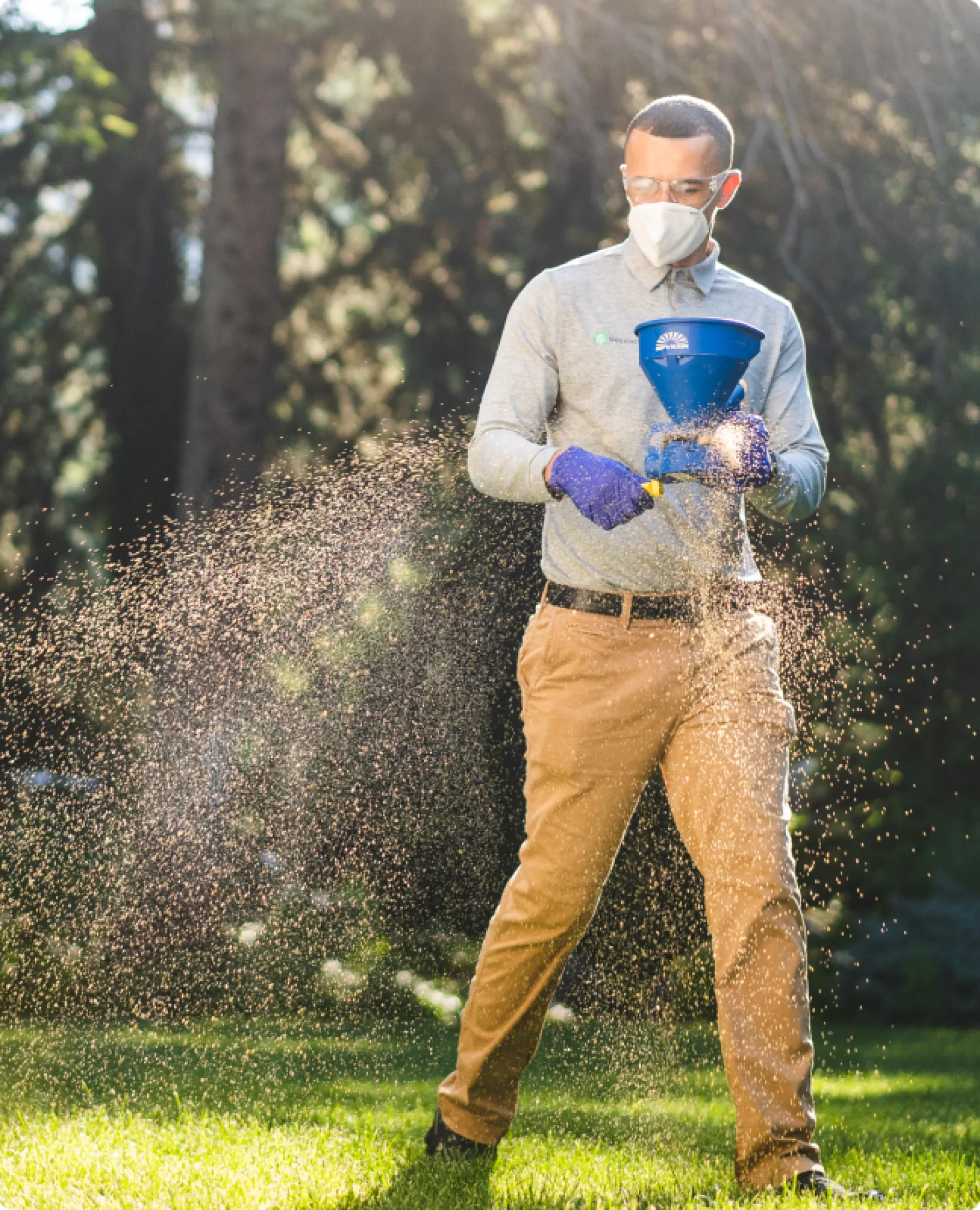 Vole Pest Control | Greenix Pest Control