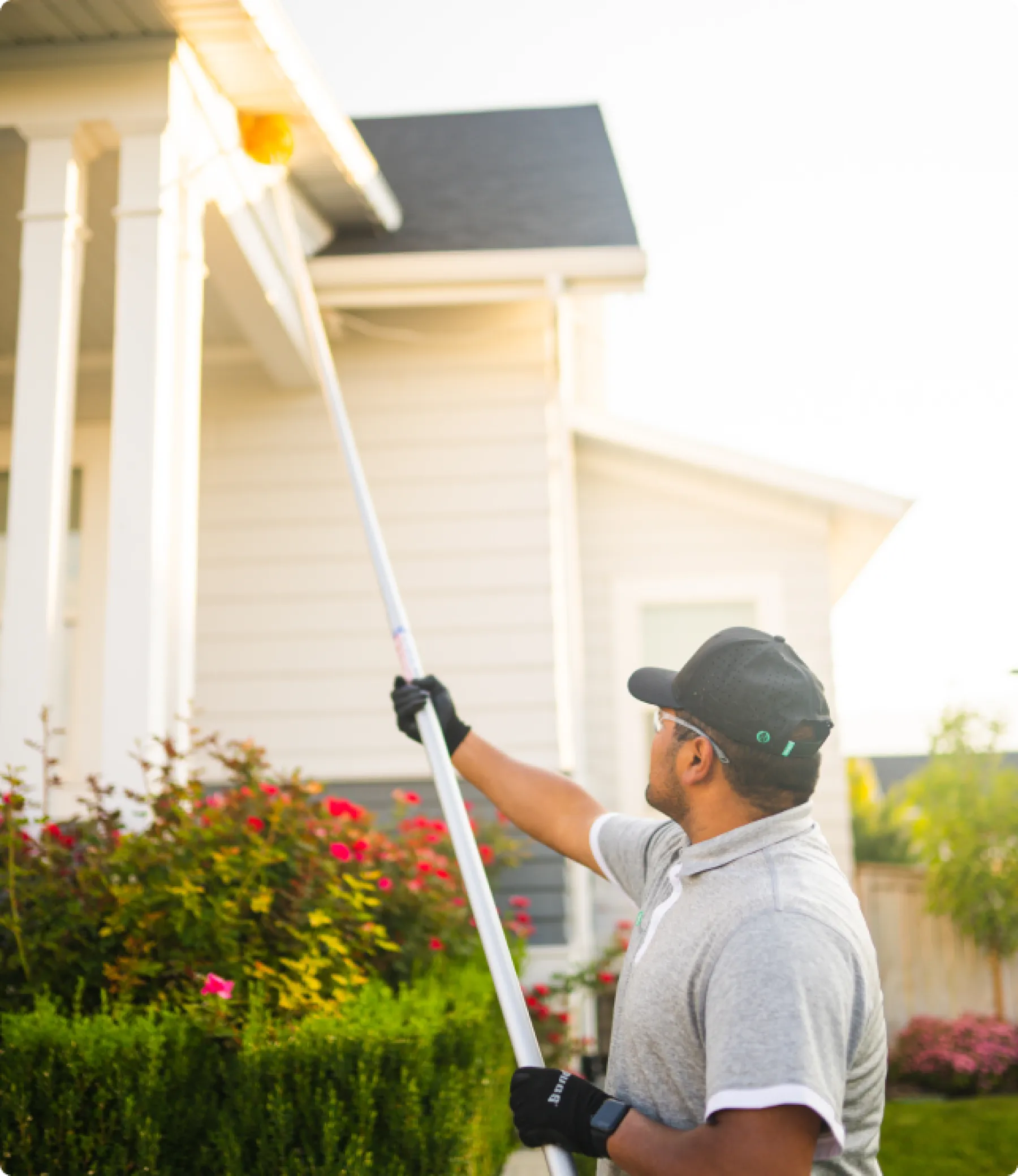 Pest Control Pittsburgh | Greenix Pest Control