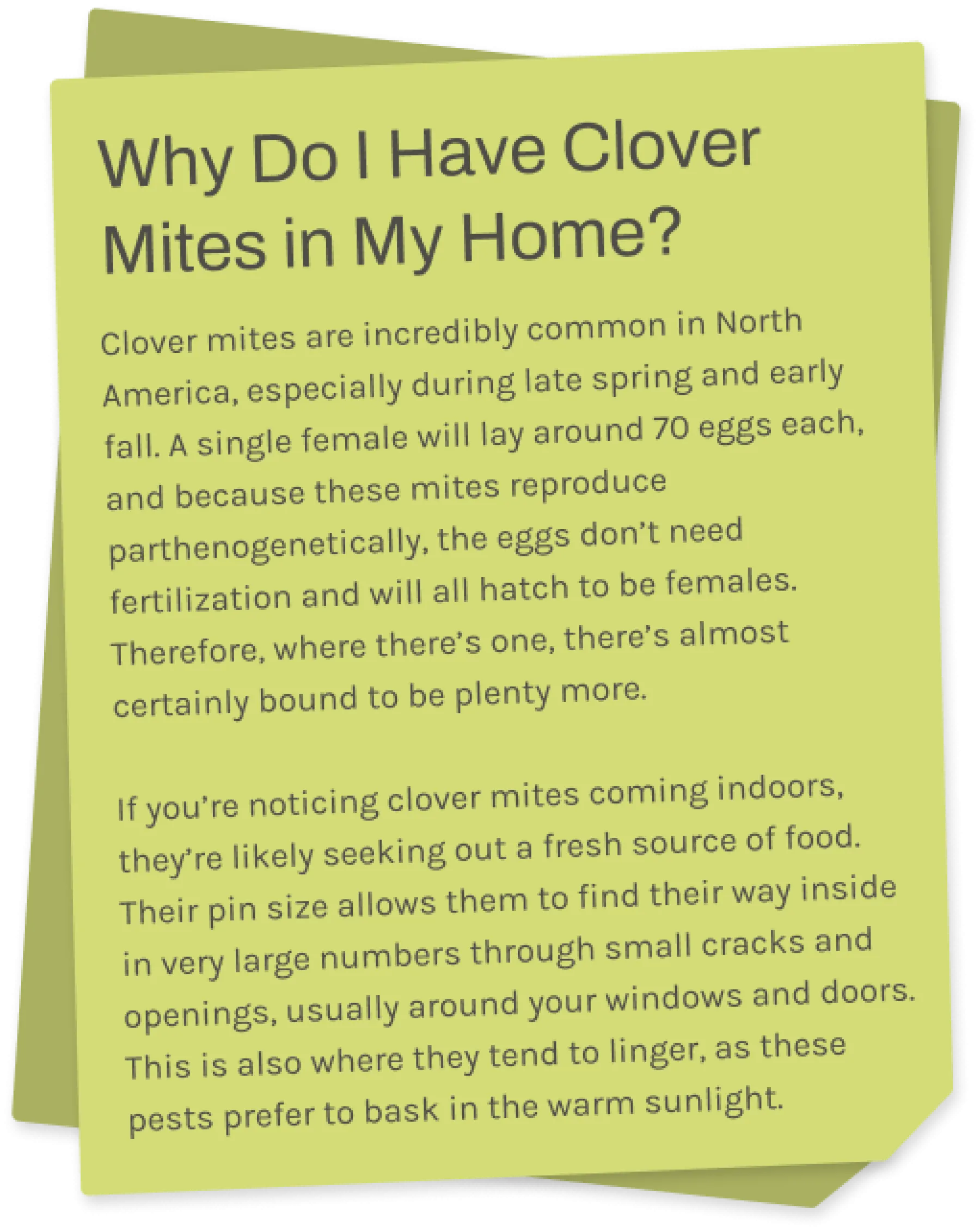 Clover Mites | Pest Library | Greenix Pest Control