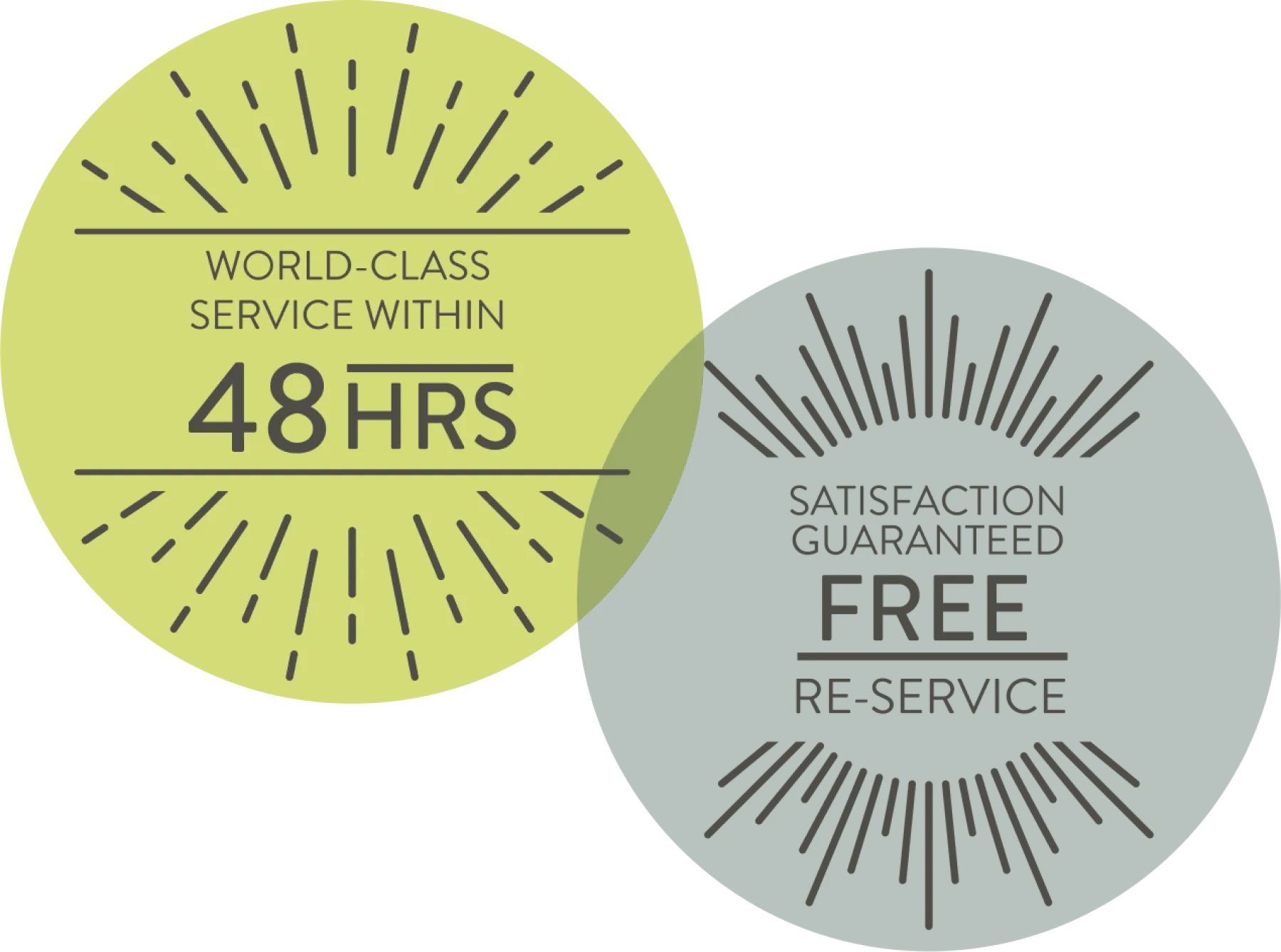 About Us | Greenix Pest Control