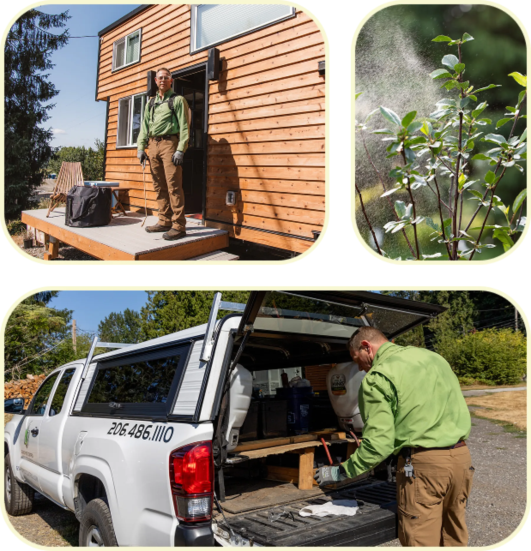 Pest Management For Snohomish Homes | Guard Pest Control