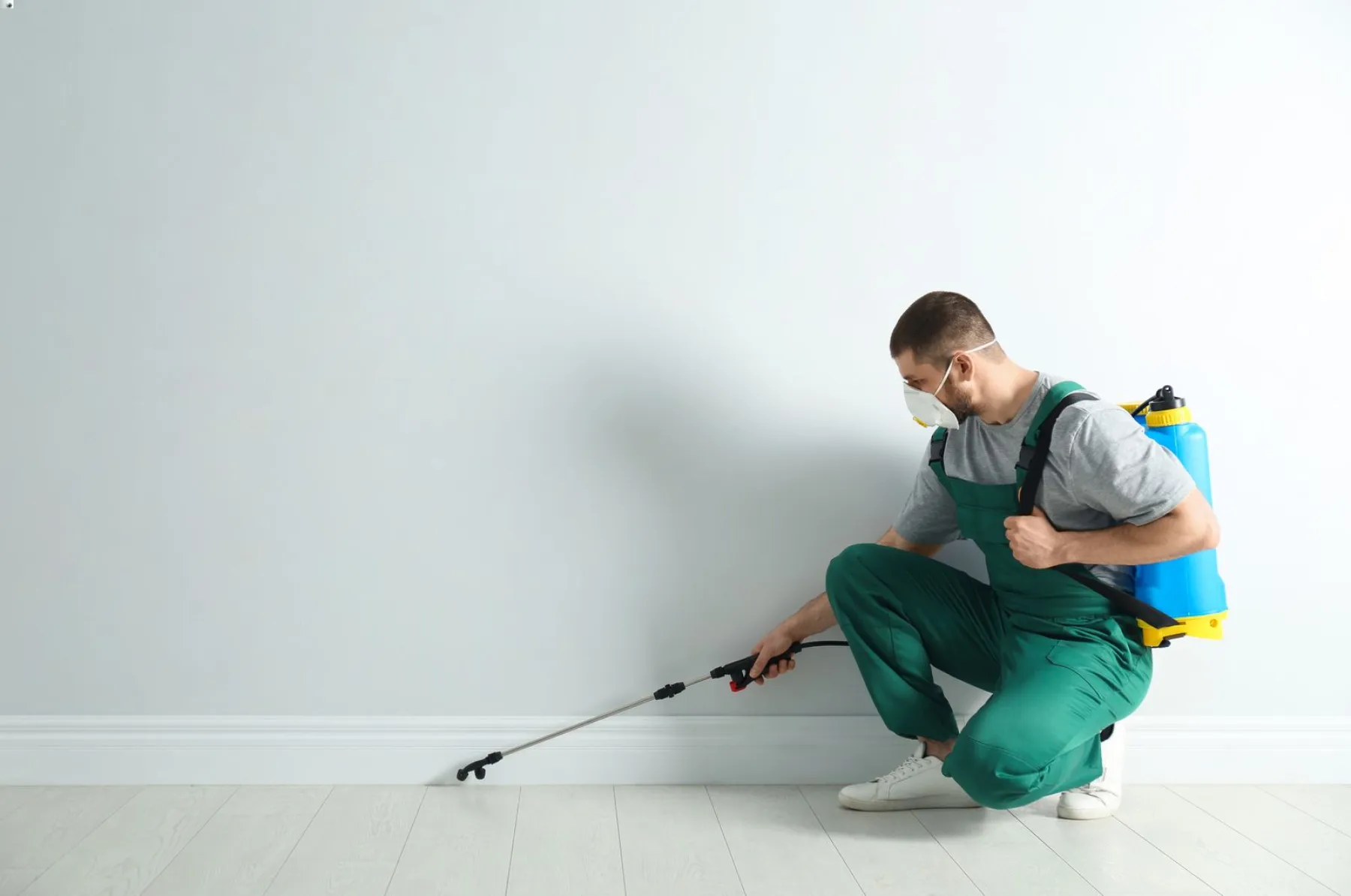 Green Pest Control | Organic Pest Control | Kingfish Pest Control