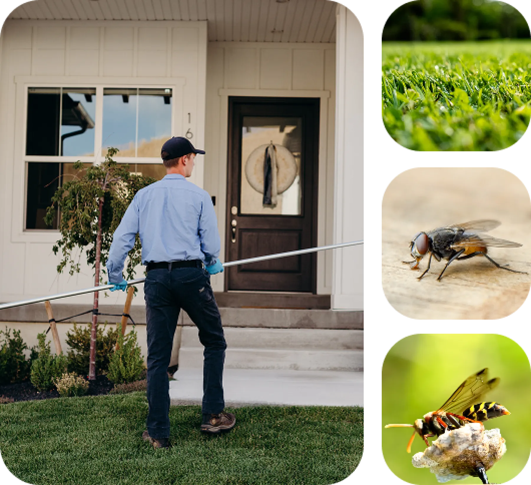 Pest Control in Salt Lake City | Prime Pest & Lawn