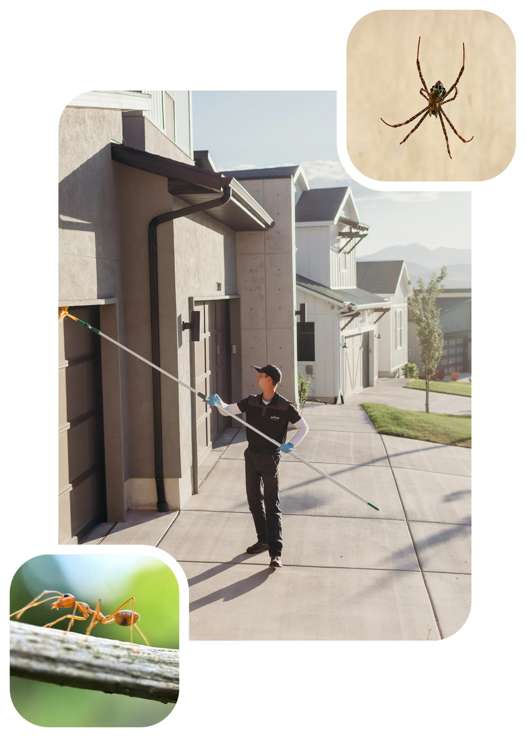 Effective Pest Control & Lawn Care Services in Lawton | Prime Pest & Lawn