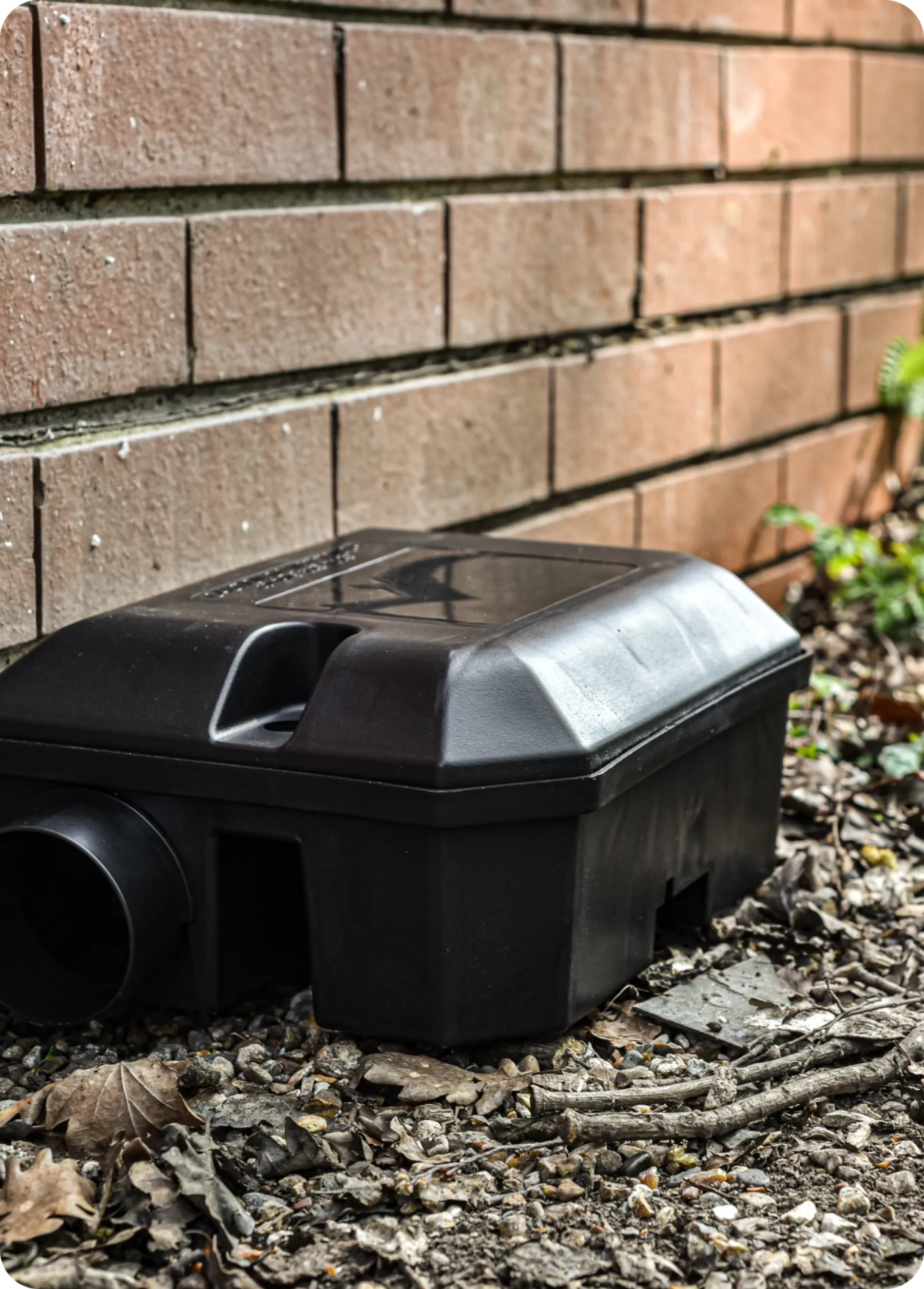 Rodent & Pest Control Virginia Beach | RIDD Pest Control